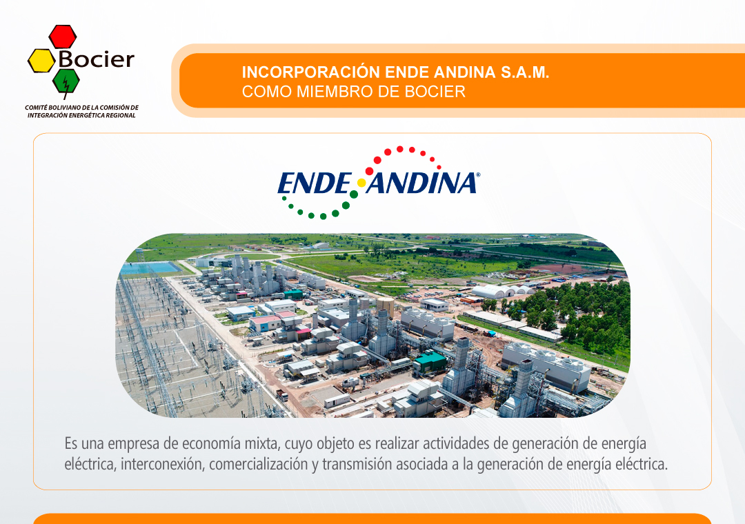 BOCIER | Comité Boliviano de la CIER